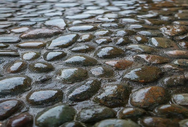 Waterproof Flooring | Waterproof Laminate And Vinyl Flooring